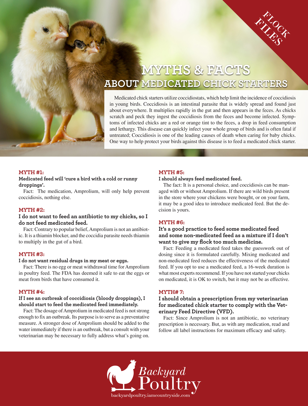 Myths & Facts About Medicated Chick Starters - Backyard Poultry